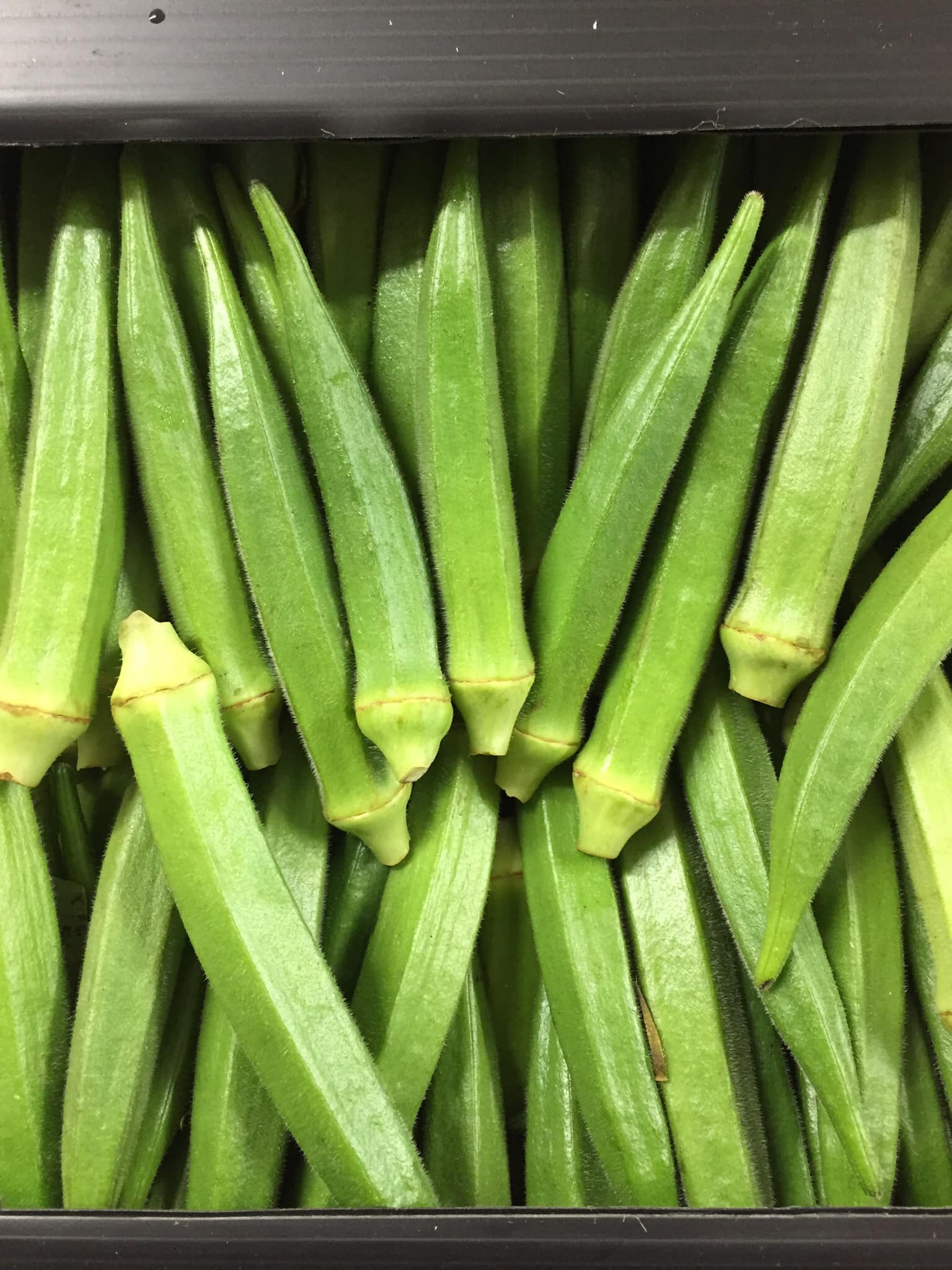 Okra Sera Okra Sultani 680Grx12 – Distributor In New Jersey, Florida